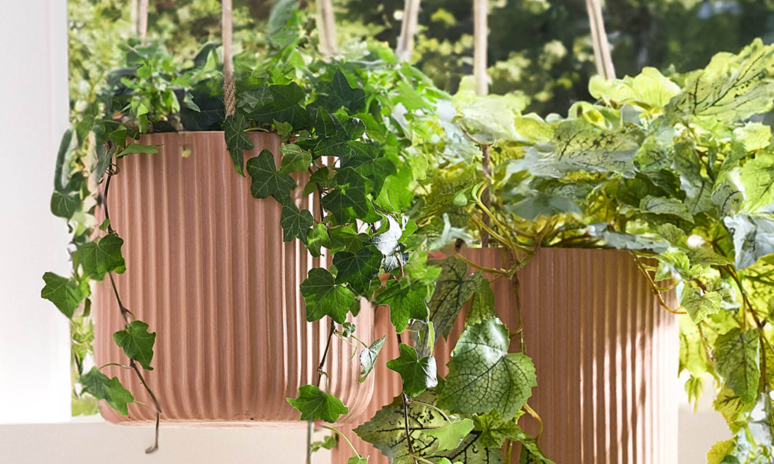 Top 10 Indoor Planters For Every Style and Budget – Dibor