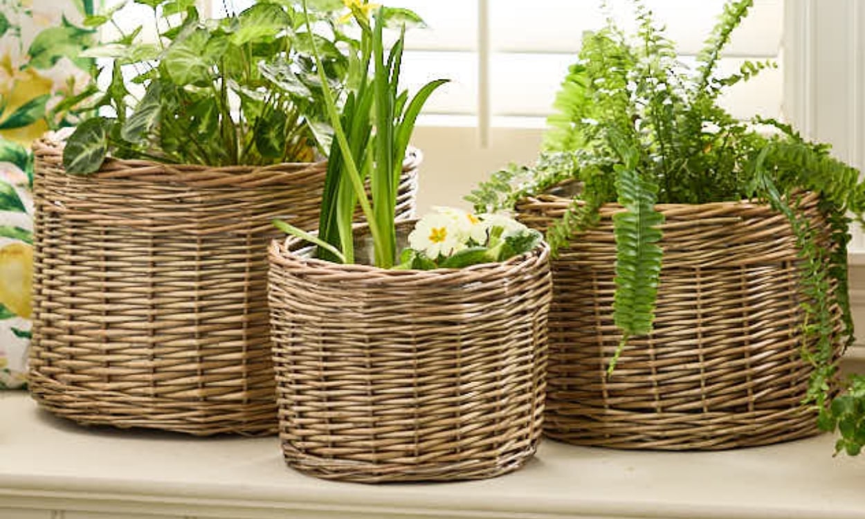 From Drab to Fab: How Wooden Plant Pot Stands Can Revitalize Your Livi ...