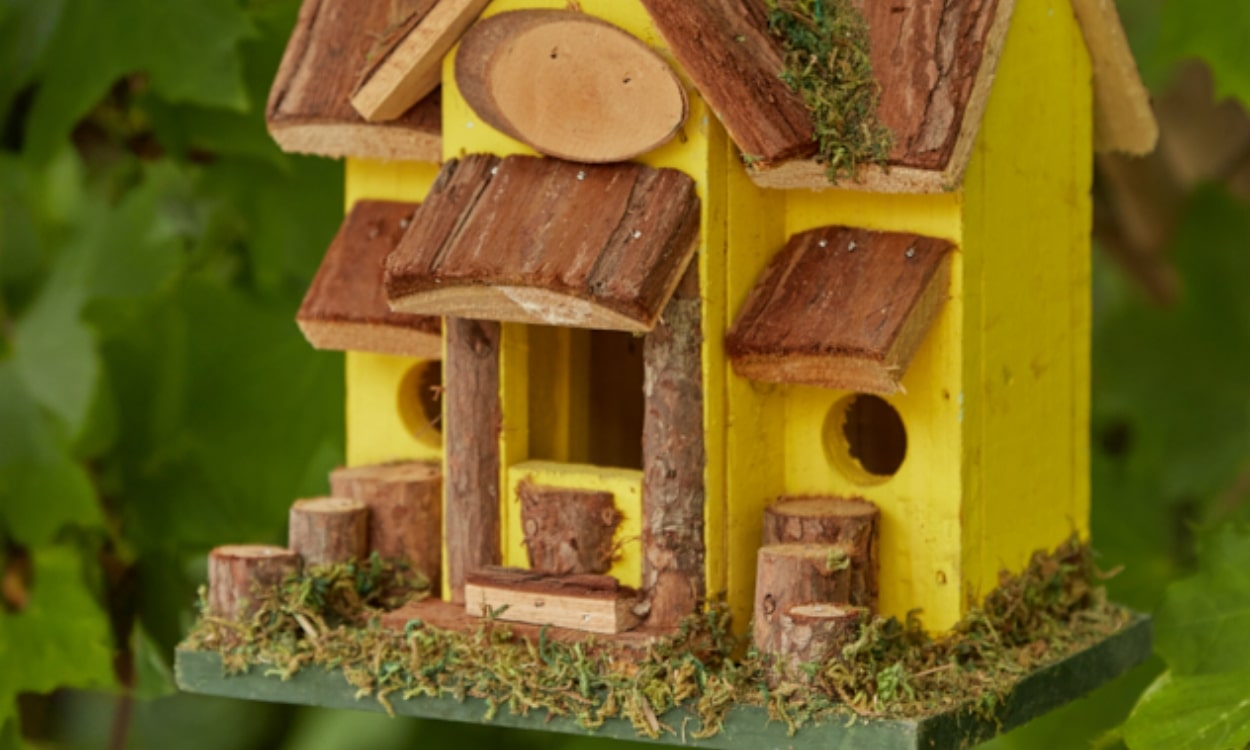 How to Choose the Perfect Garden Bird House for Your Feathered Visitor ...