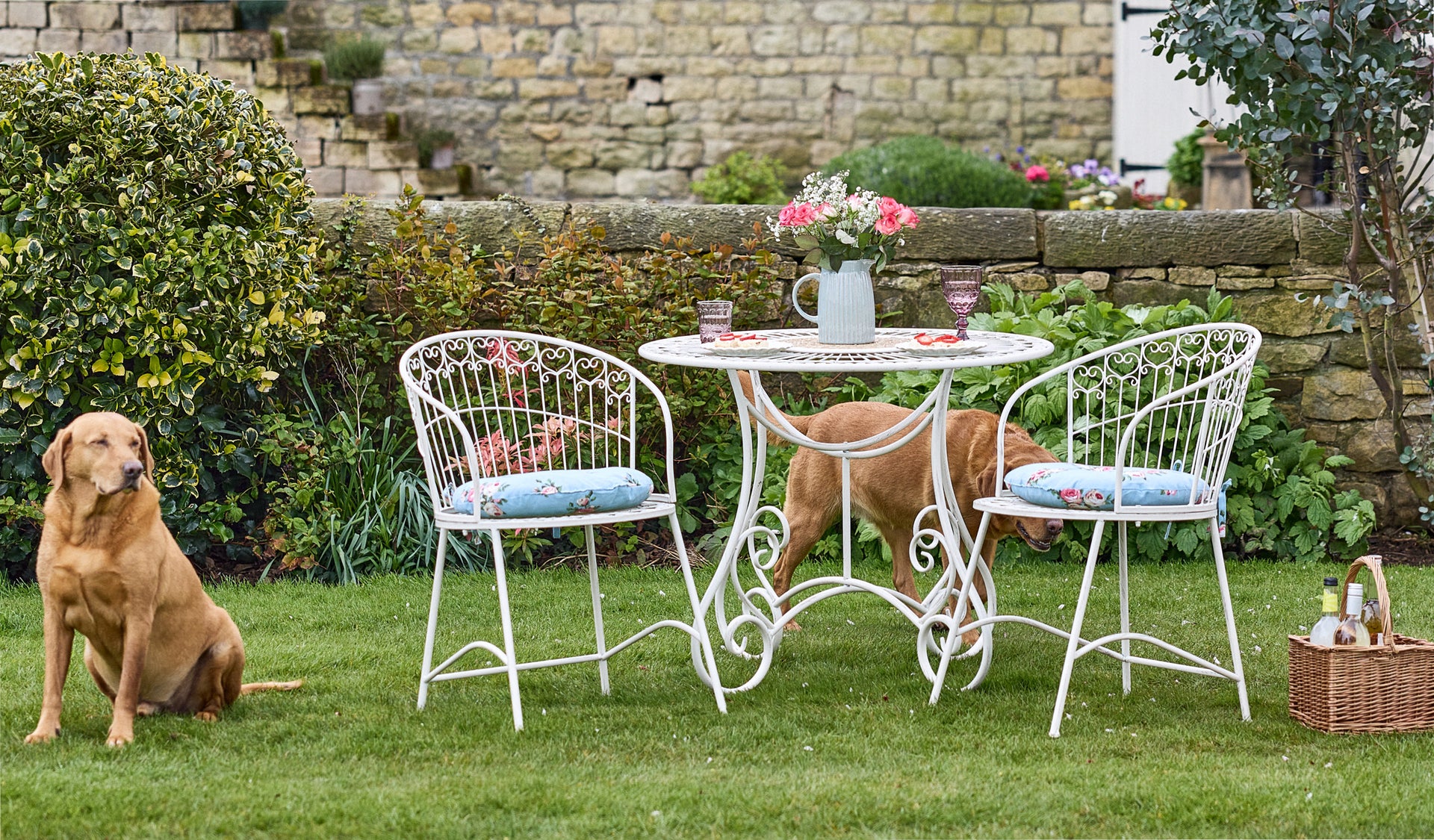 Get Summer ready | Dibor