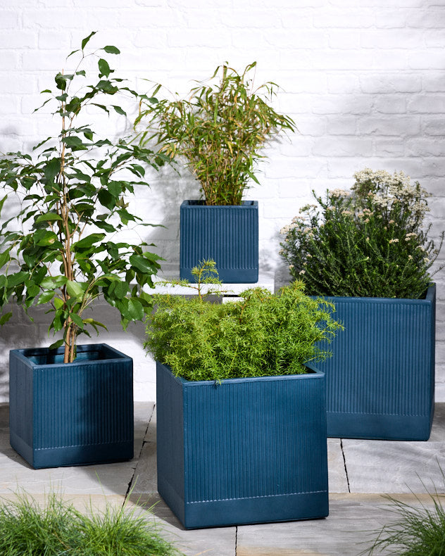 Blue Planter Suggestions Creative Outdoor Potted Plant Arrangement