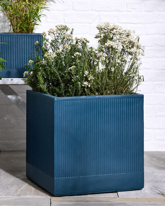 Extra Large Indoor Planters Temperate House Kew Frostproof Terracotta