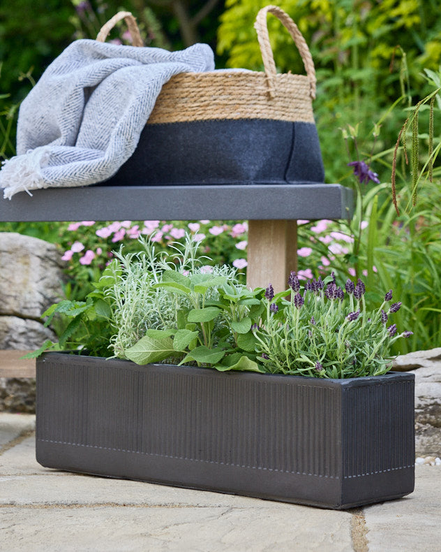 Mela Wide Black Ribbed Planter Collection – Dibor