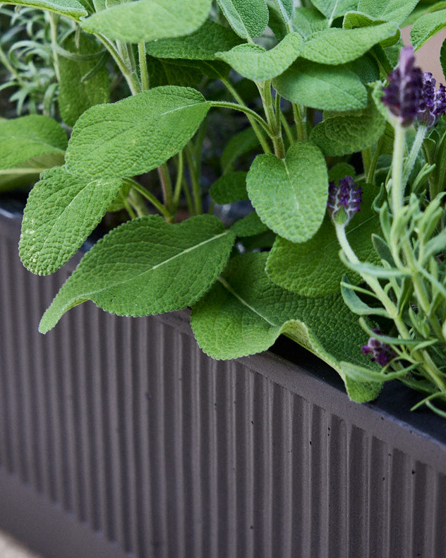 Mela Wide Black Ribbed Planter Collection – Dibor