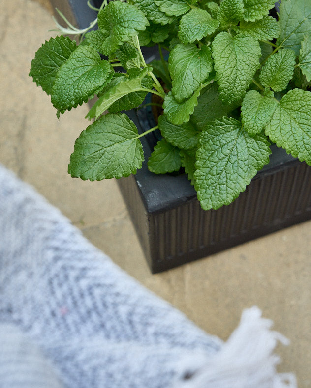 Mela Wide Black Ribbed Planter Collection – Dibor