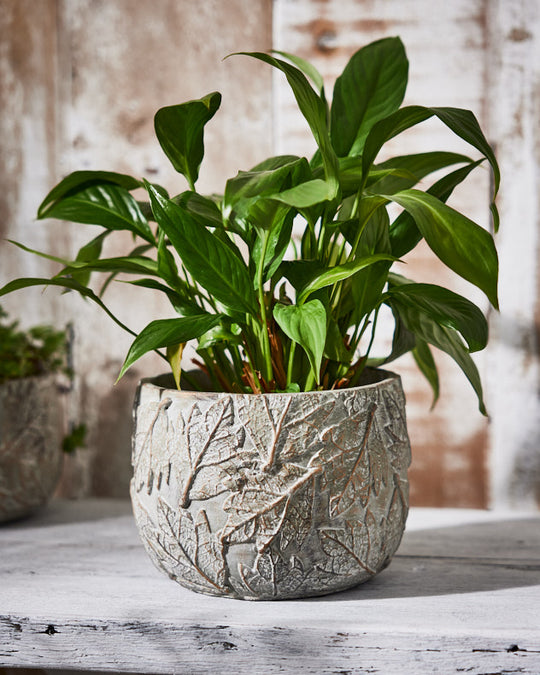 Personalized Outdoor Garden Plant Pots And Planters | Dibor