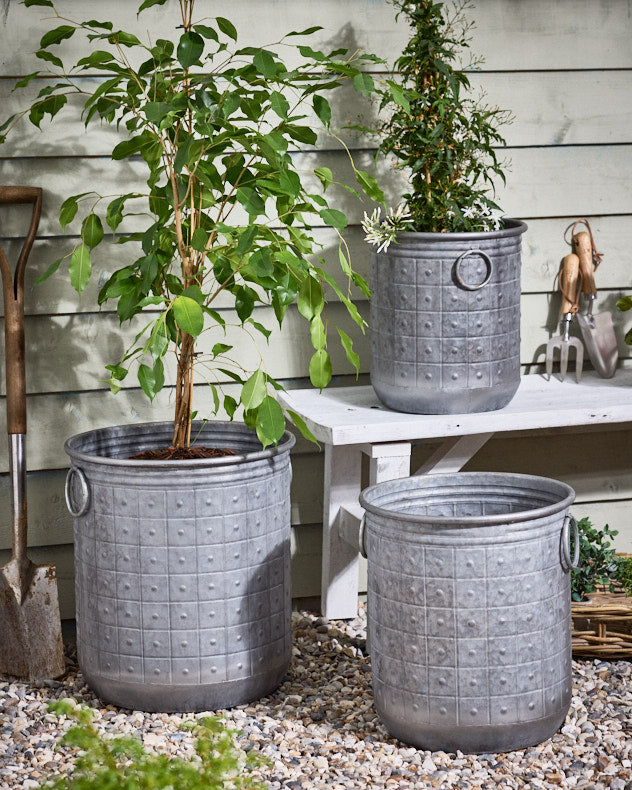 Cabora Set of 3 Textured Planters | Dibor Plant Pots