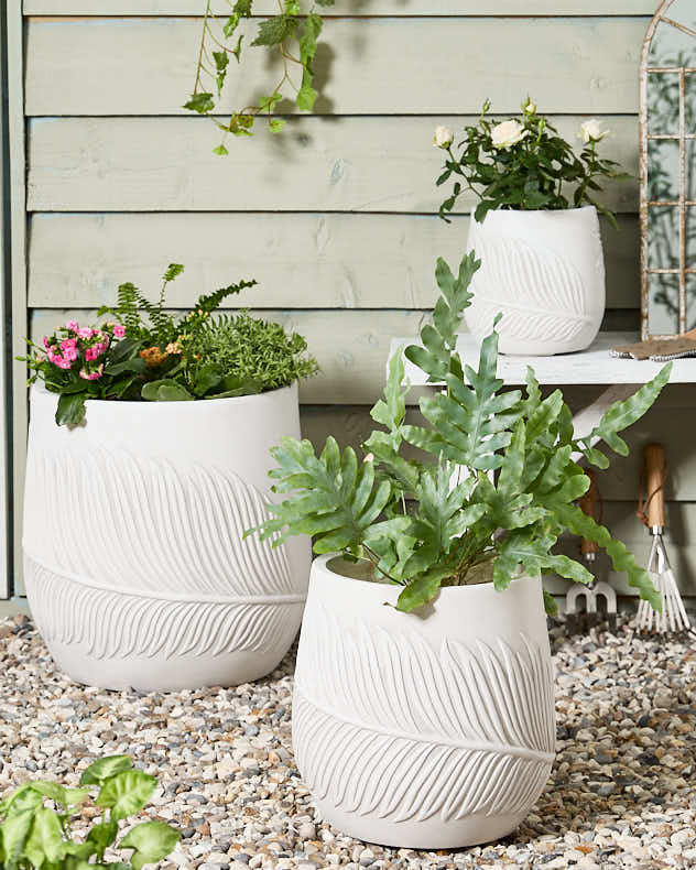 Set of 3 Leaf Embossed Planters – Dibor
