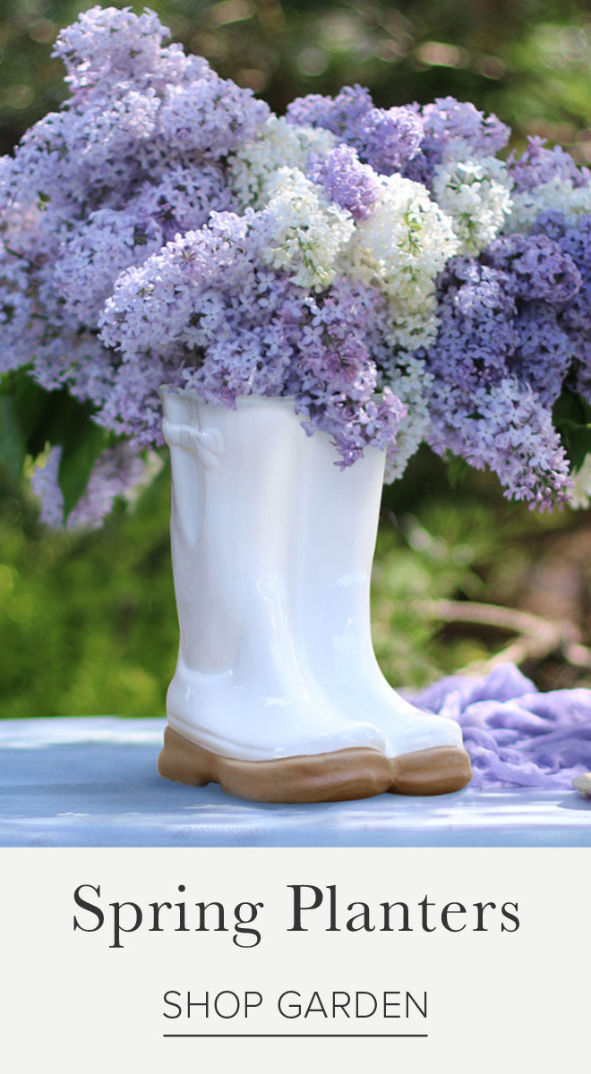 Get Summer ready | Dibor