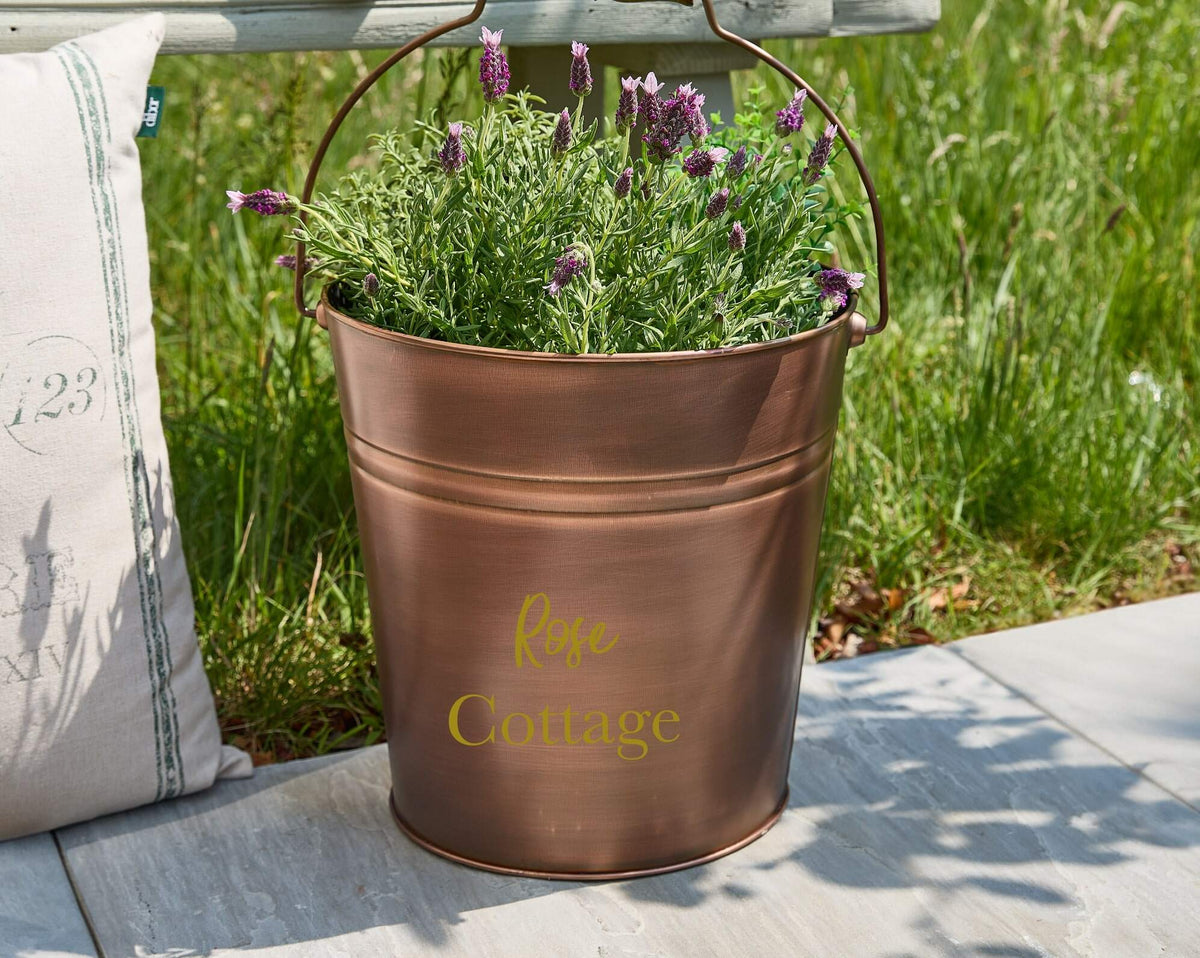 Dibor | French-Inspired Homeware, Kitchen, Lighting, Furniture & Garde