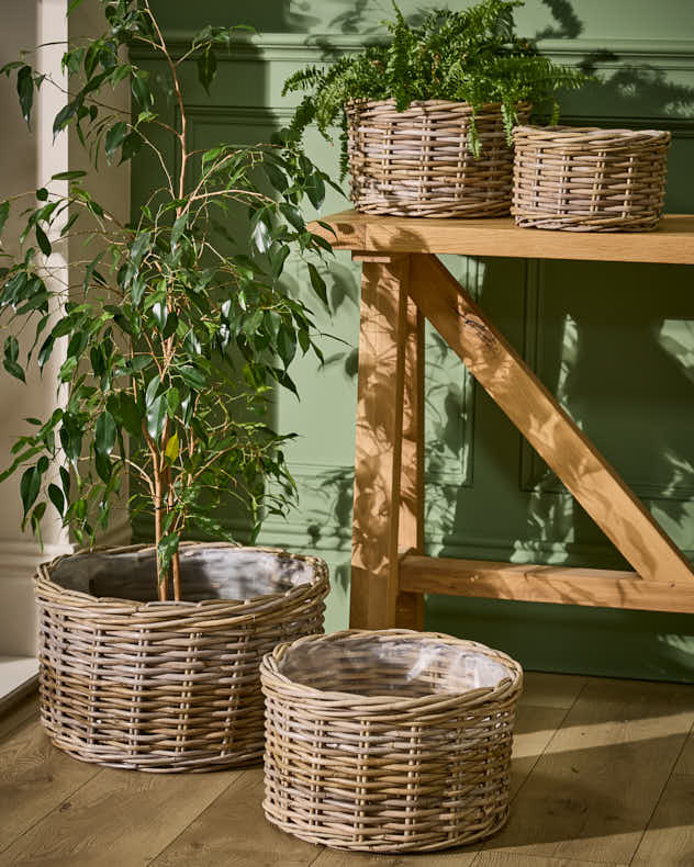 Natural Wicker Circle Planter Set – Dibor
